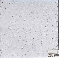 HAYNES® 556® - Haynes International